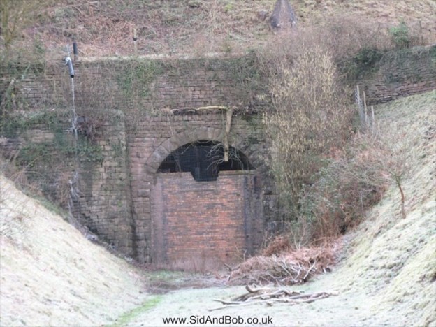 Bullo Pill and the Forest of Dean Tramway | Roger Farnworth