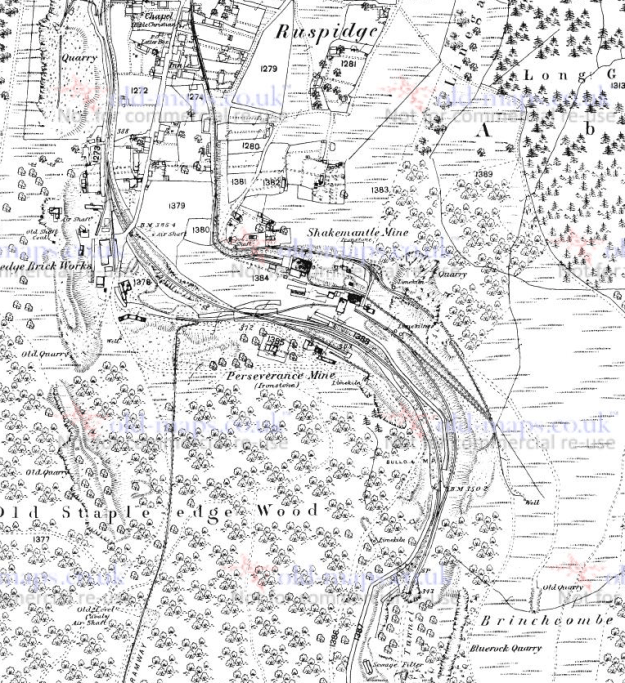 Bullo Pill and the Forest of Dean Tramway | Roger Farnworth