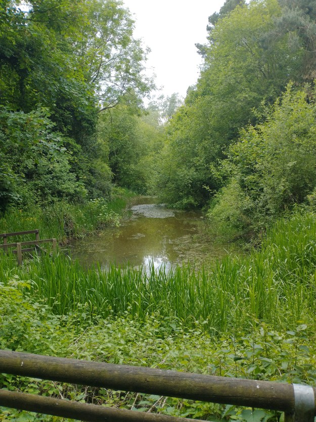 Early Tramroads near Telford – Part 3 – Ketley Tramways/Plateways ...