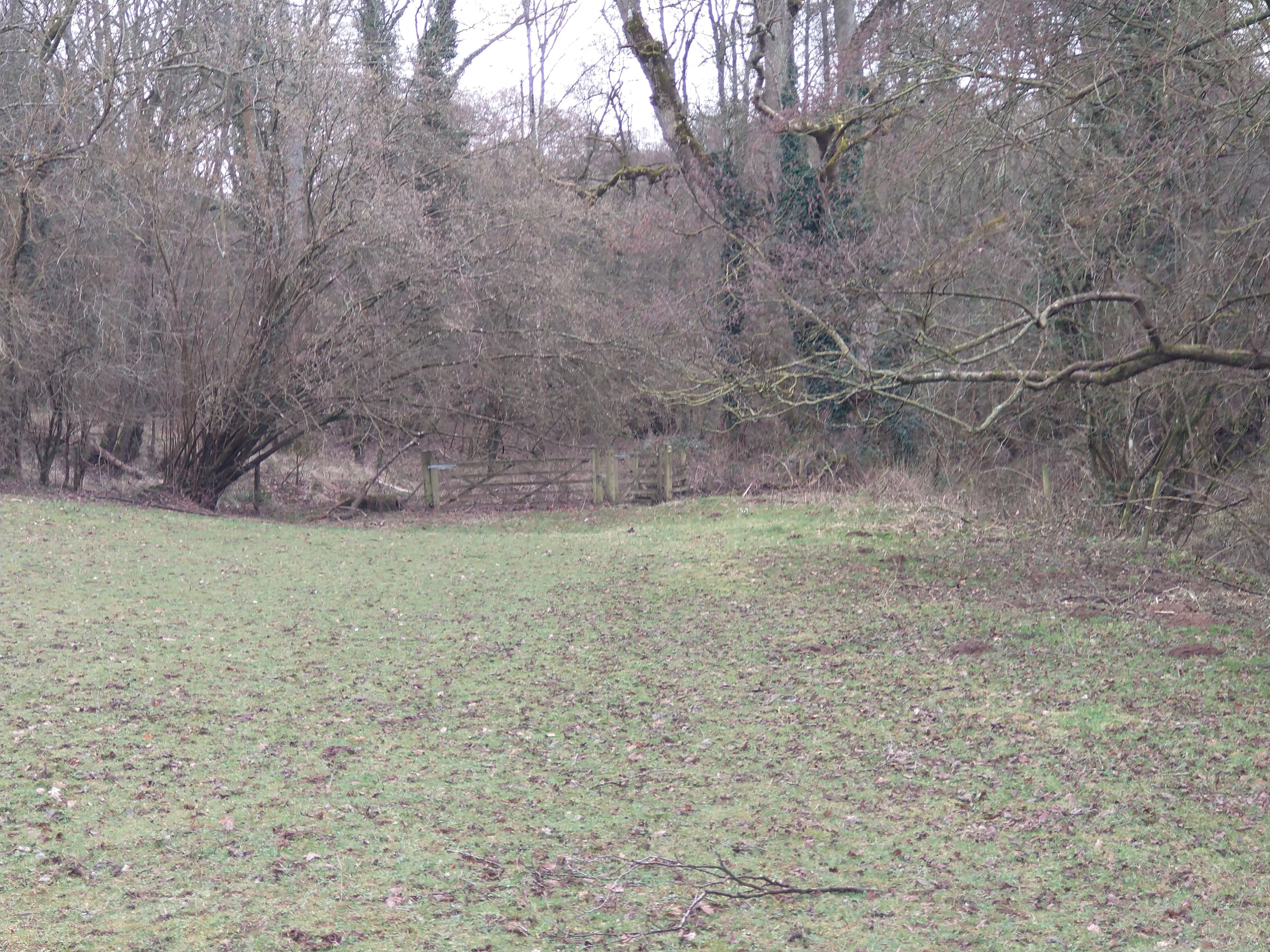 Railways Around Bridgnorth – Part 1 | Roger Farnworth